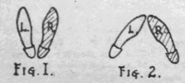 Library of Dance - Charleston